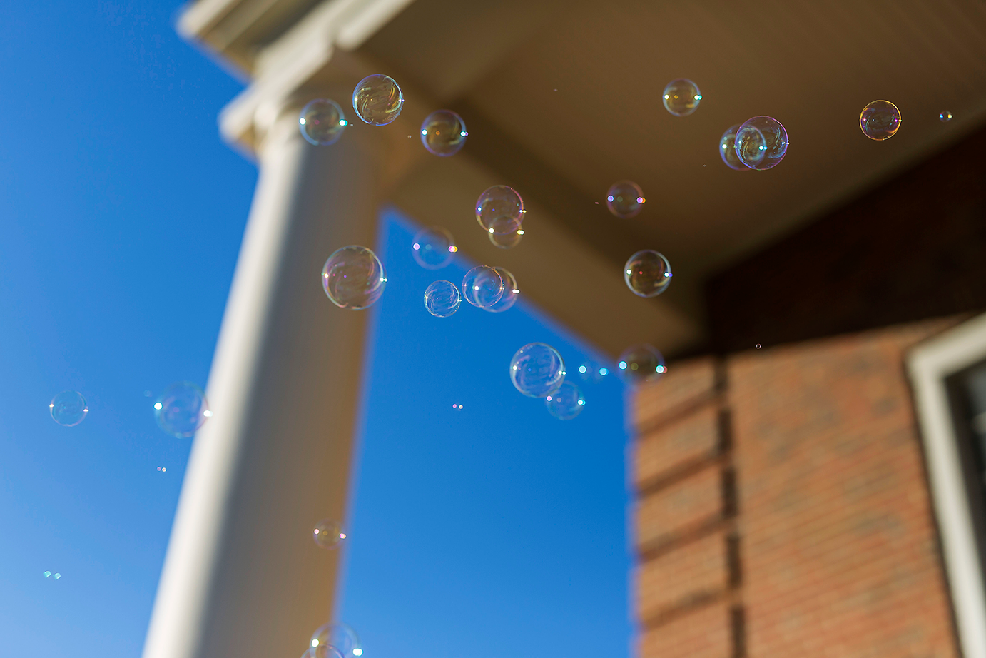 Prevent Balloon Litter