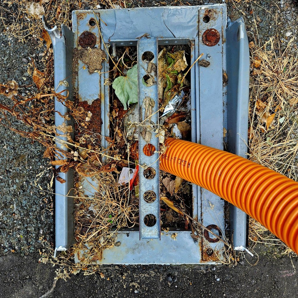 Recent Exhibitions at APT — A.P.T.