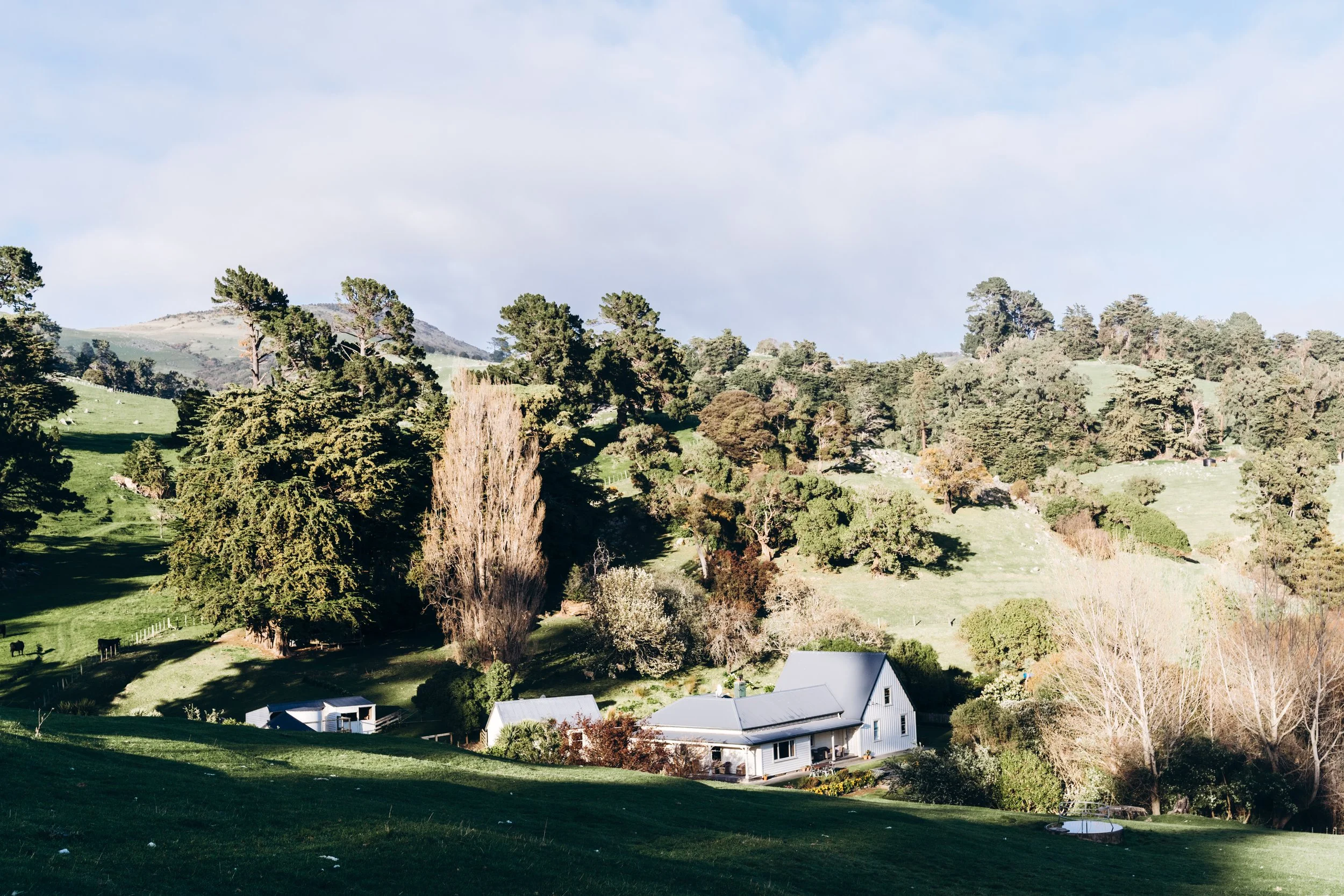 The Farmhouse, large accommodation — Ridgecliff