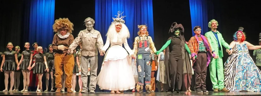 The Theater Lab — District 214 Community Education