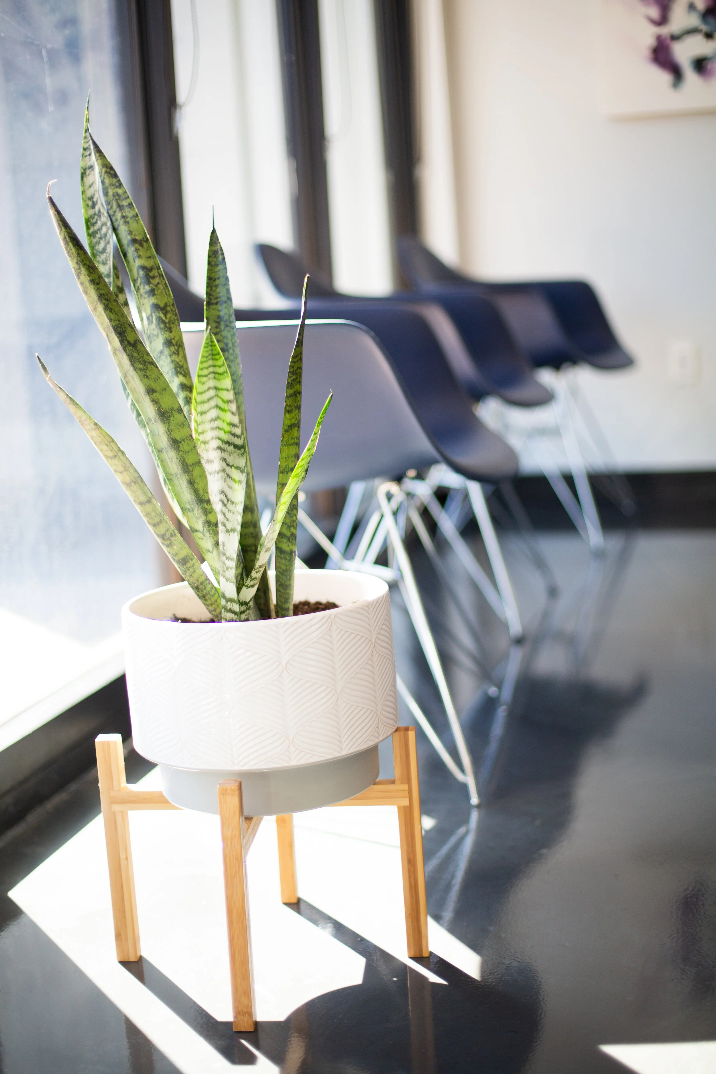 Services — Ziba Salon & Spa