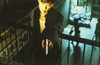 A Review of Wong Kar Wai’s Fallen Angels.