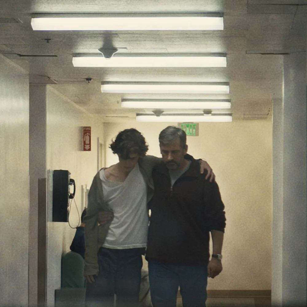 Review, Summary, Analysis: Beautiful Boy (2018) — Ashley Hajimirsadeghi