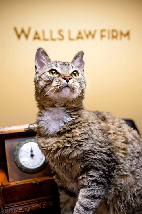 Our Team — Walls Law Firm