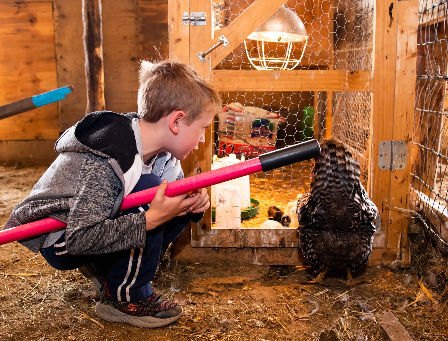 Kids Summer Farm Camp — Colorado Kids Ranch