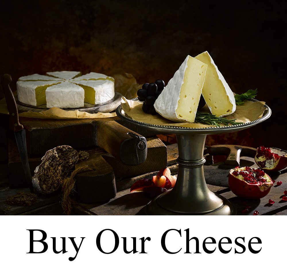 Buy Welsh Cheese, Welsh Cheeses, Buy British Cheese, Buy Welsh Cheese ...
