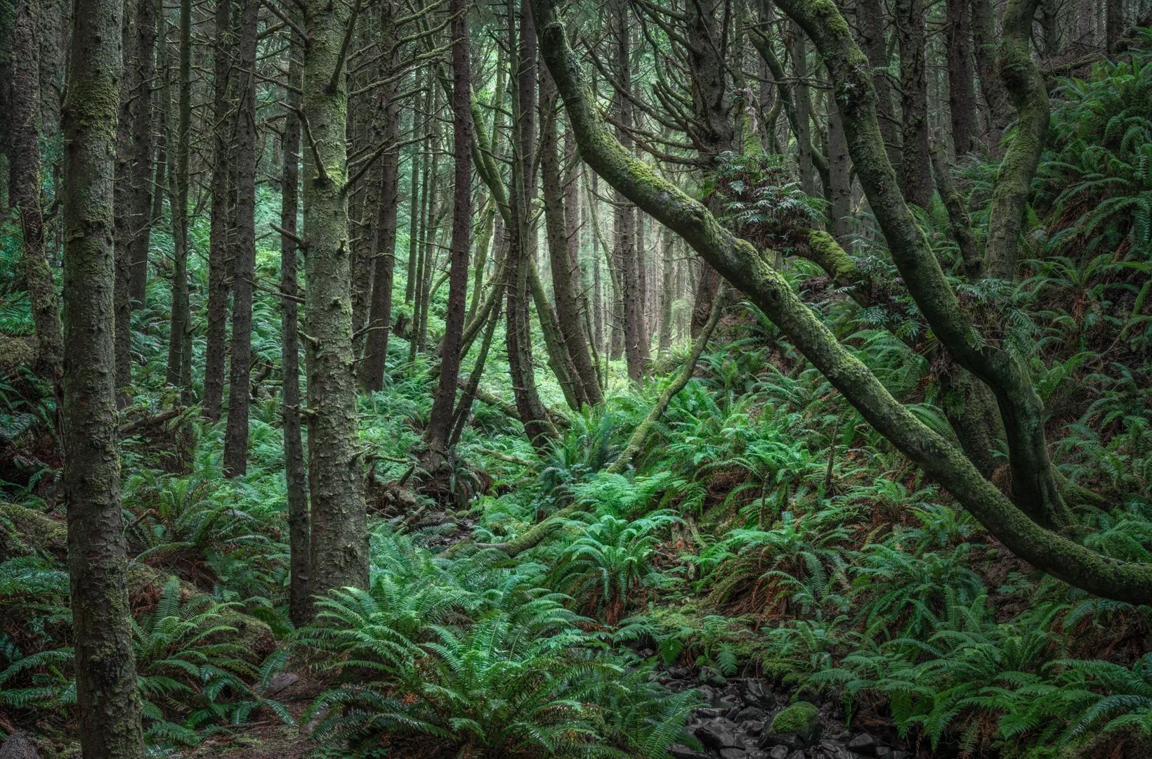 Creative Compositions & Droneworks