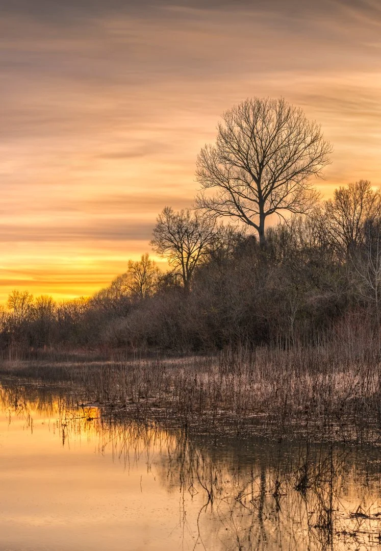 Creative Compositions & Droneworks