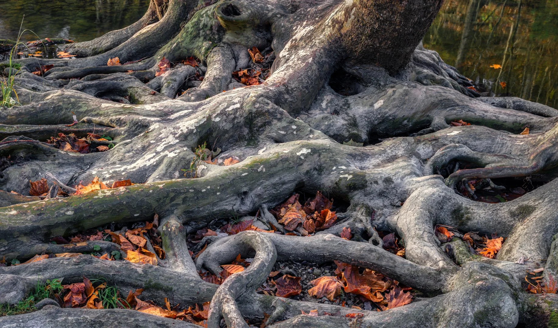 Creative Compositions & Droneworks