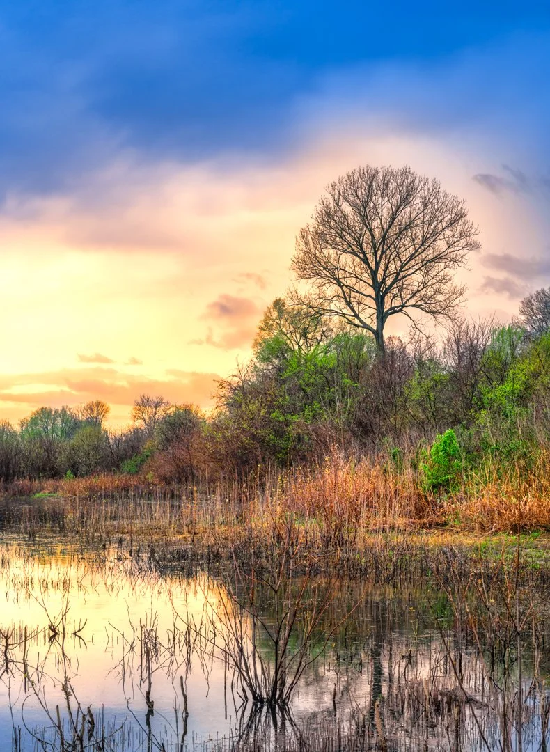 Creative Compositions & Droneworks