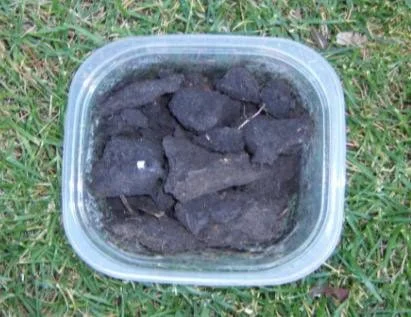 Soil Consistency — Soil Restoration