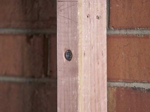 PYTHON MT Fixings — PYTHON Fixings AU