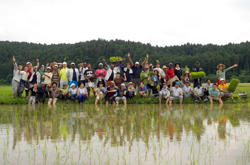 American Friends of Asian Rural Institute