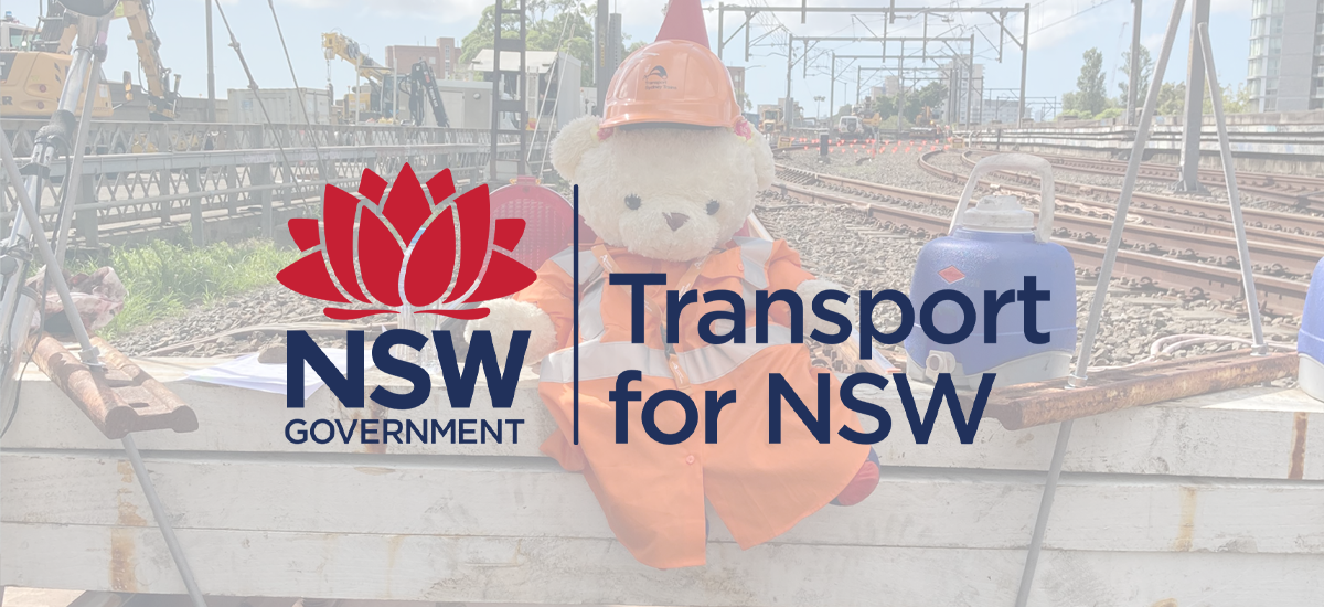 Transport for NSW - Wattle the Wonder Bear - SWOOP Analytics® | Digital ...