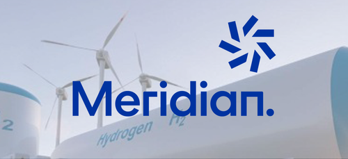 Meridian Energy - The power of Bad Jokes - SWOOP Analytics® | Digital ...