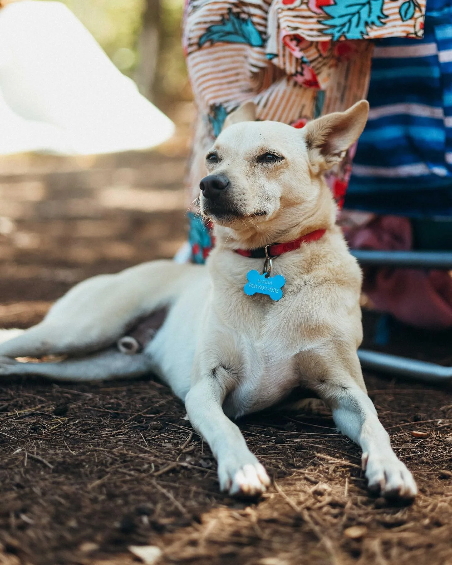 Portfolio — Studio Itzi | Web & Brand Design for Community-driven Businesses