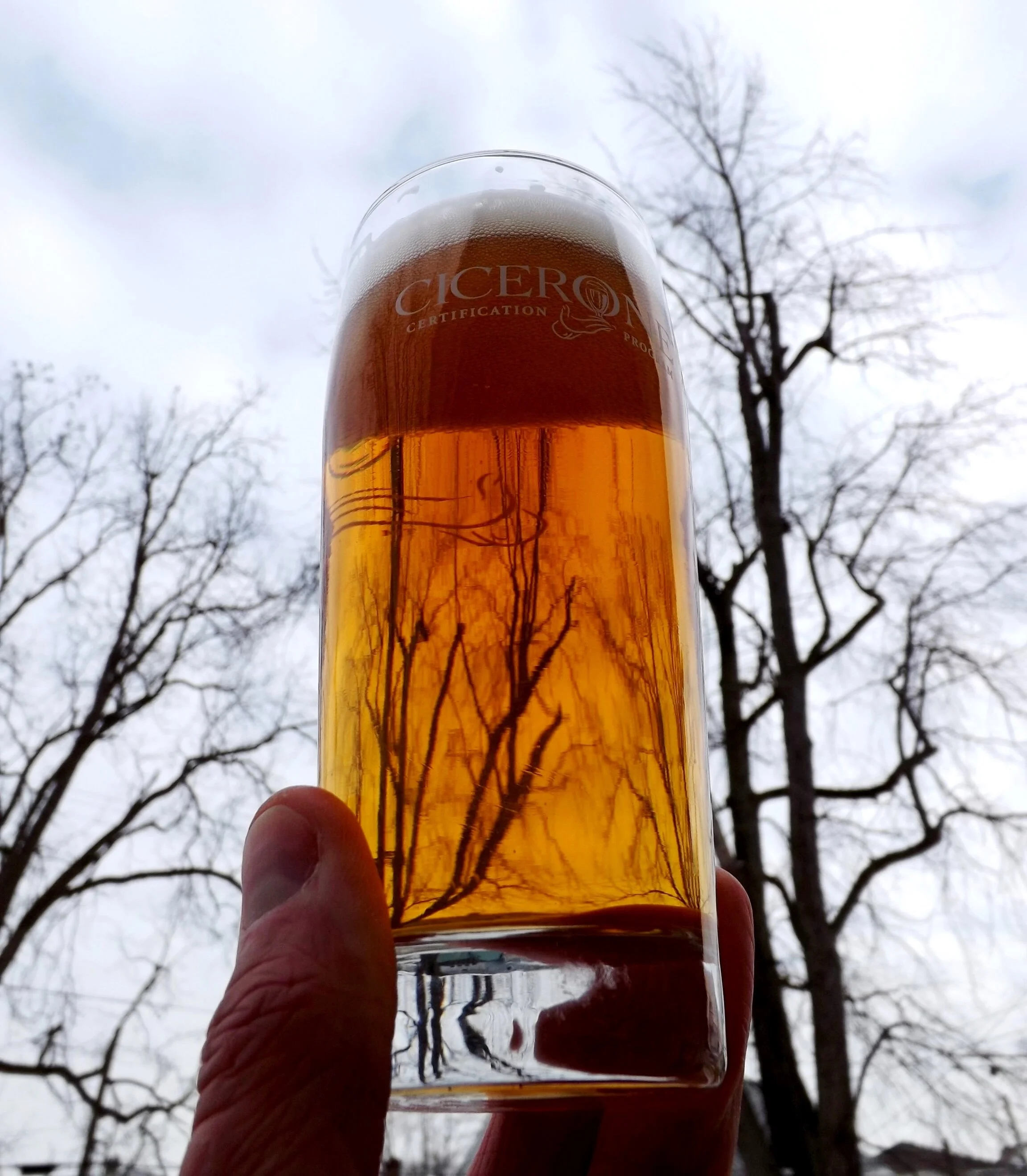 What's the difference between ale and lager? — Bean to Barstool