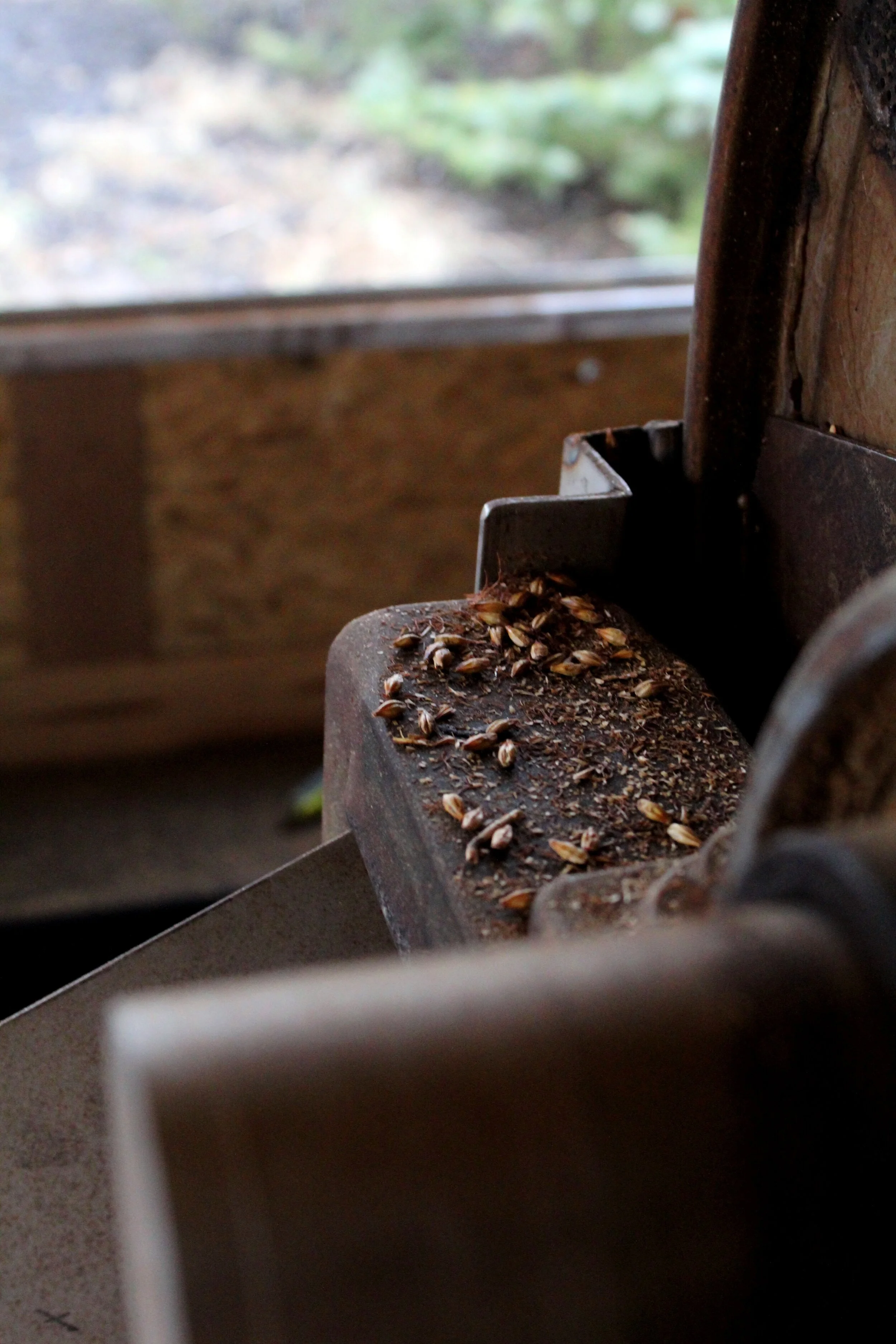 What Is Malt? — Bean to Barstool