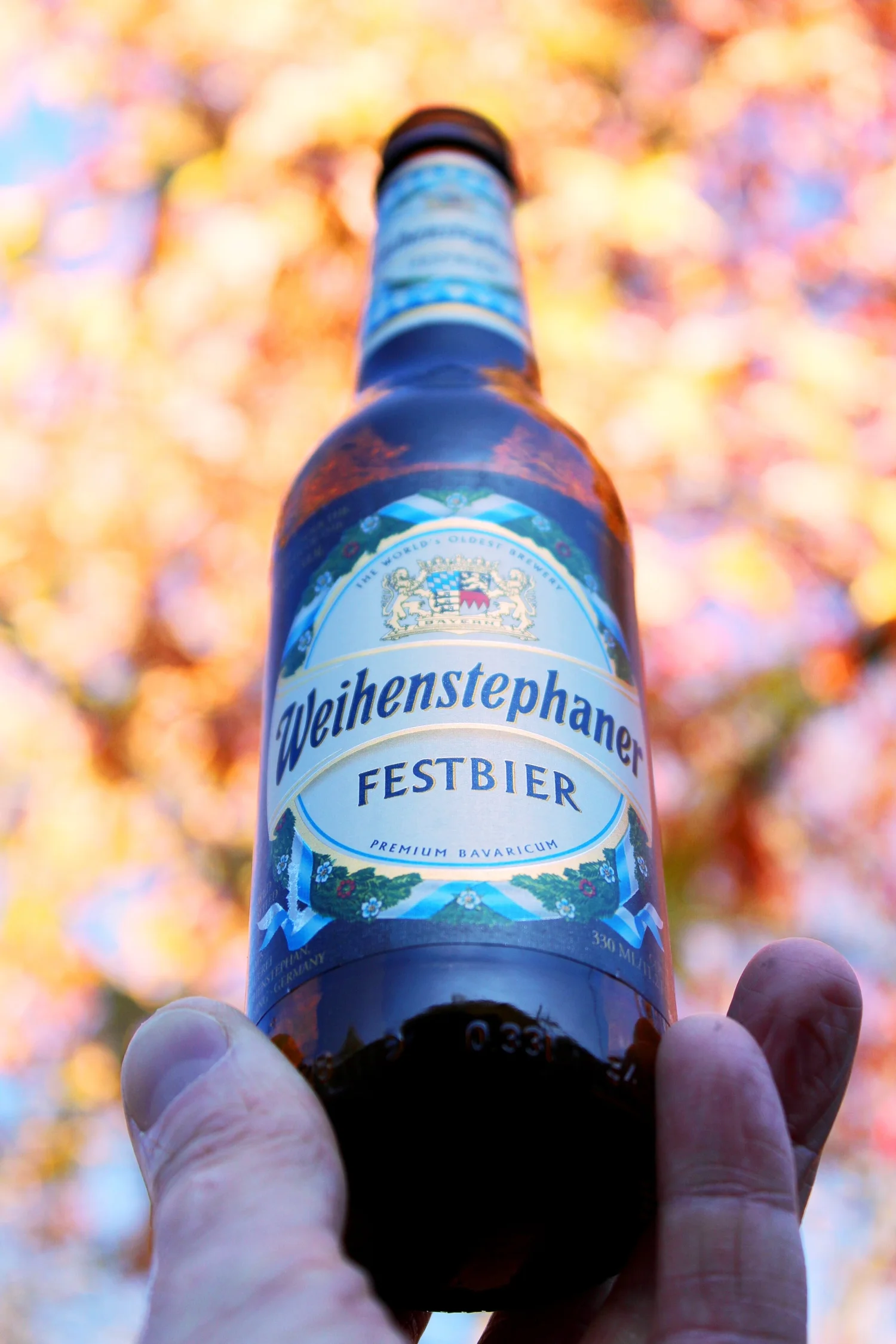 What's the Difference Between Oktoberfest, Festbier, and Marzen? — Bean ...