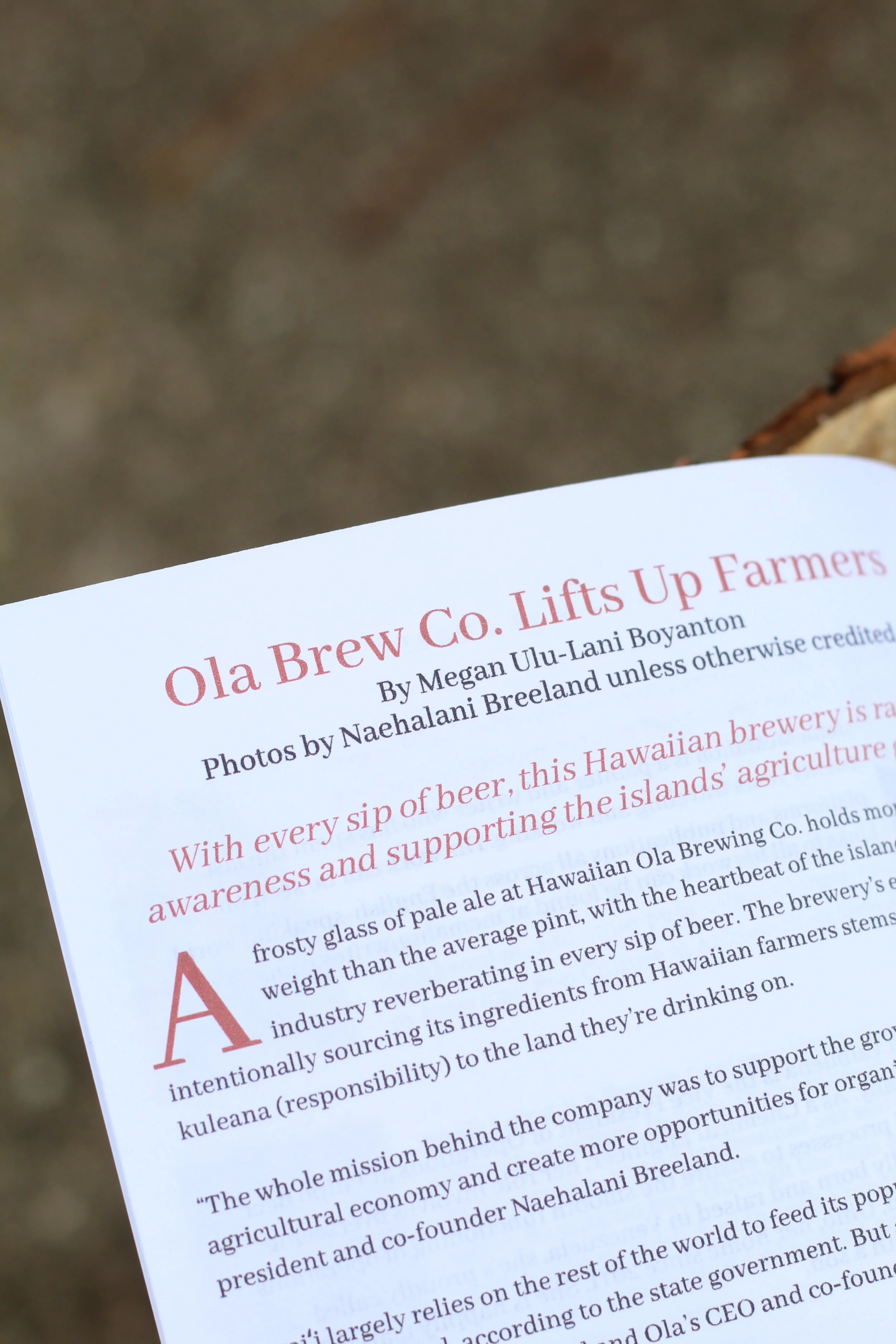 Final Gravity Beer Zine Subscription — Bean to Barstool
