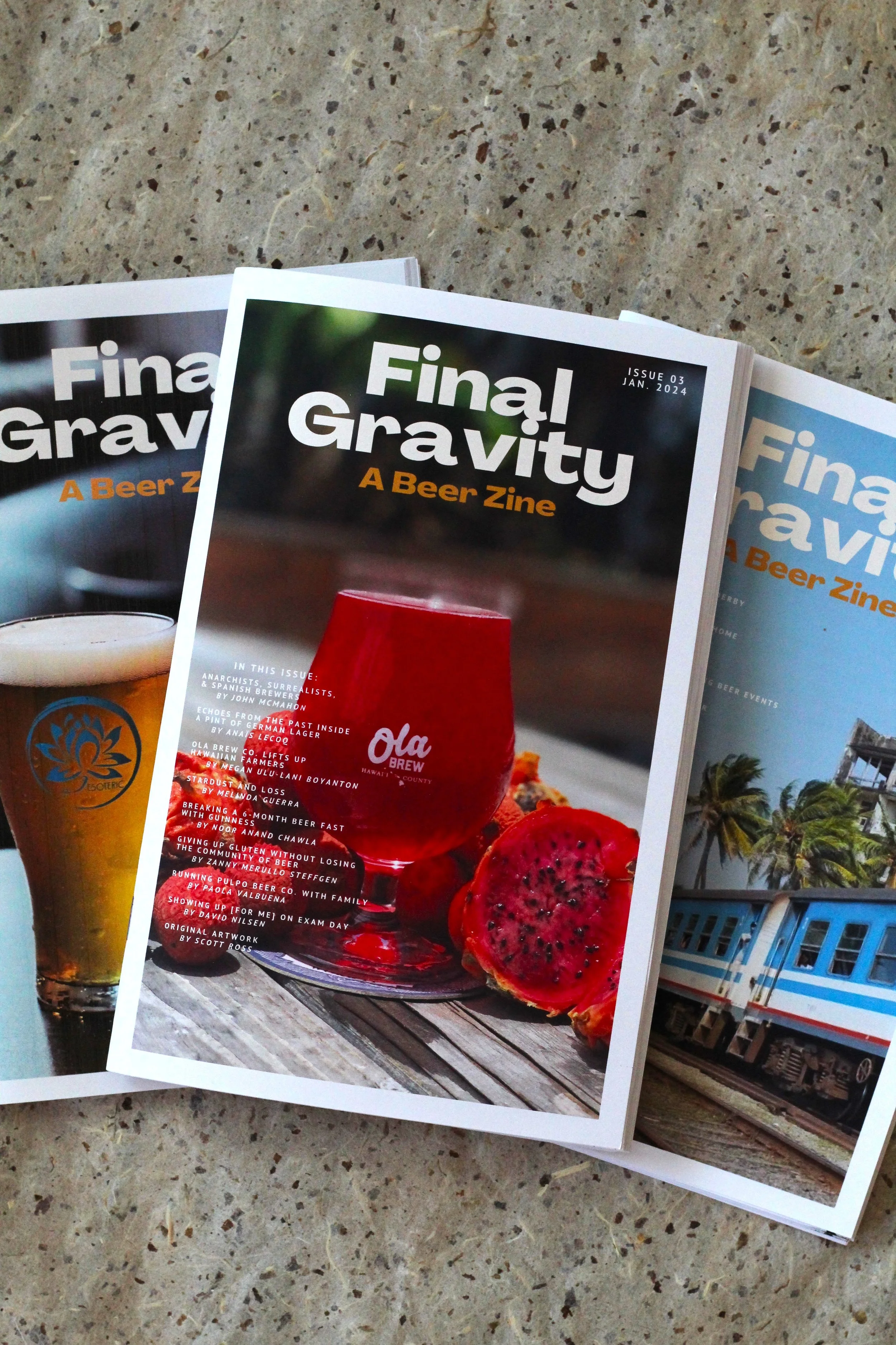 Final Gravity Beer Zine Subscription — Bean to Barstool