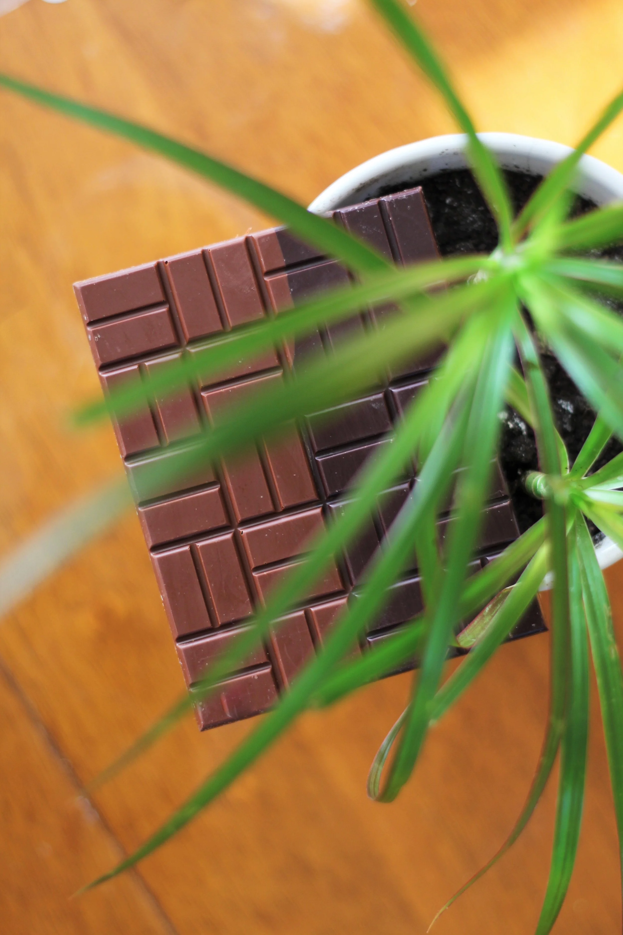 Mission Chocolate Two Rivers Dark Chocolate Bar and the Story of ...