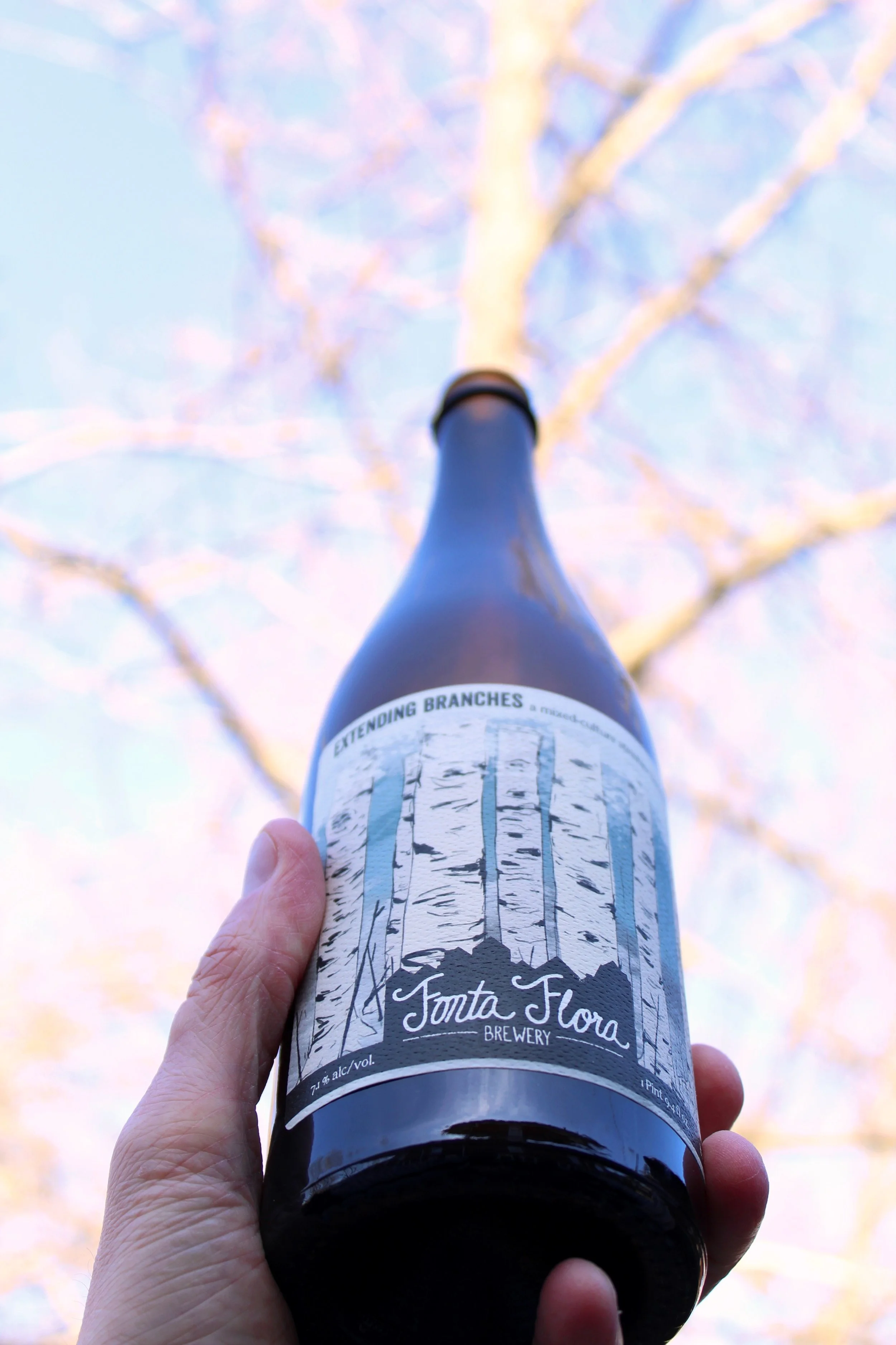 Favorite beers of 2021 from beer writer & Advanced Cicerone David ...