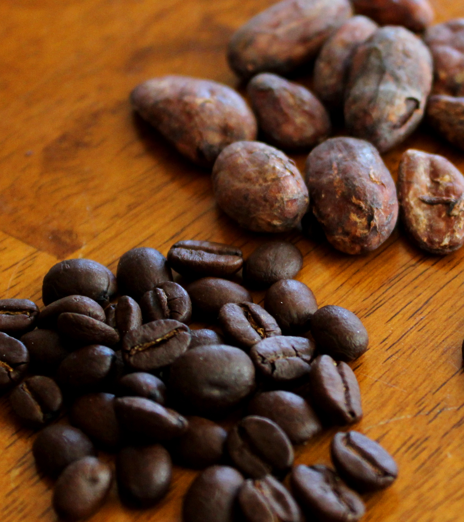 Coffee and Cacao with Osito Coffee, Violet Sky Chocolate, and Cloud ...