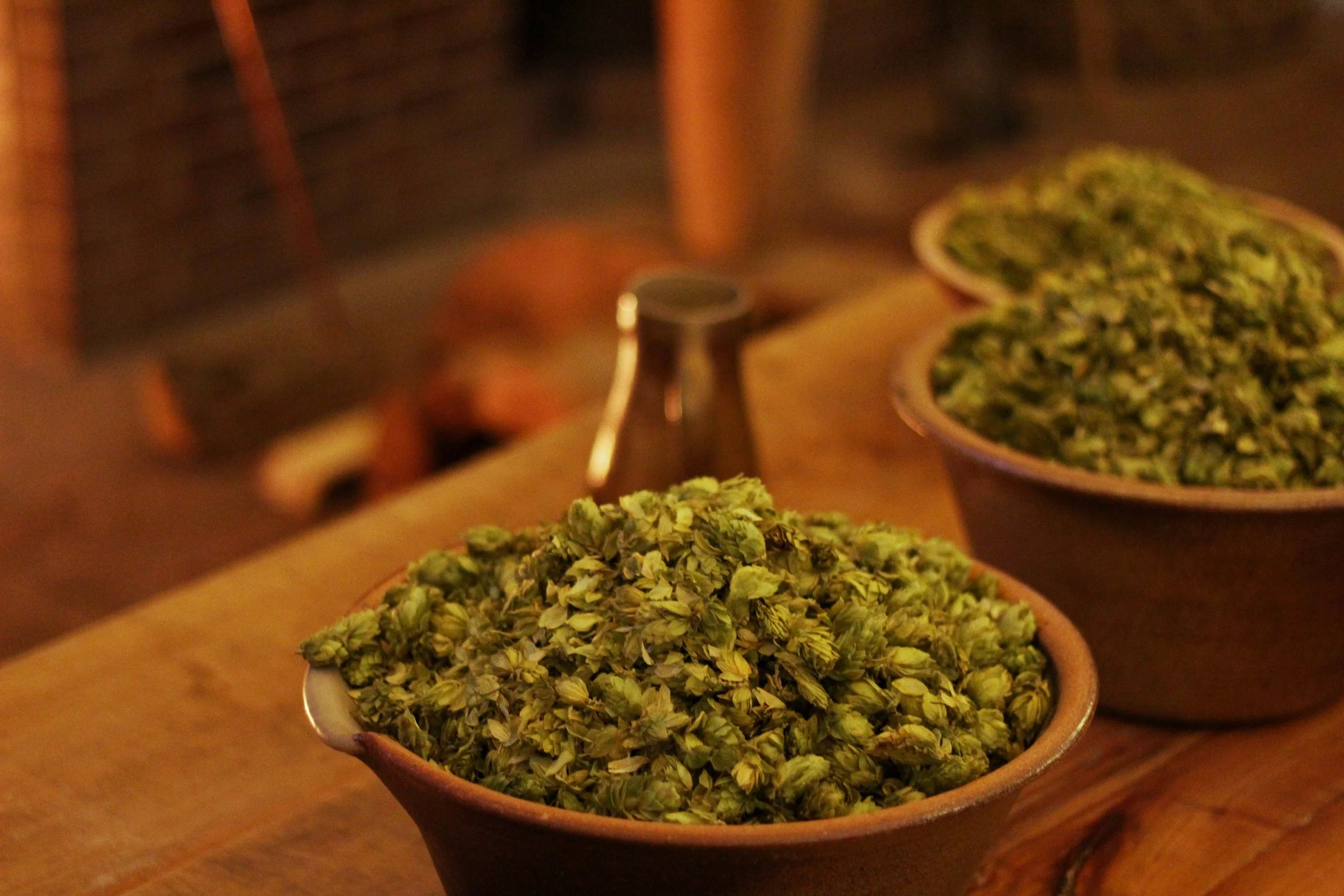 All About Hops Used in Brewing Beer — Bean to Barstool