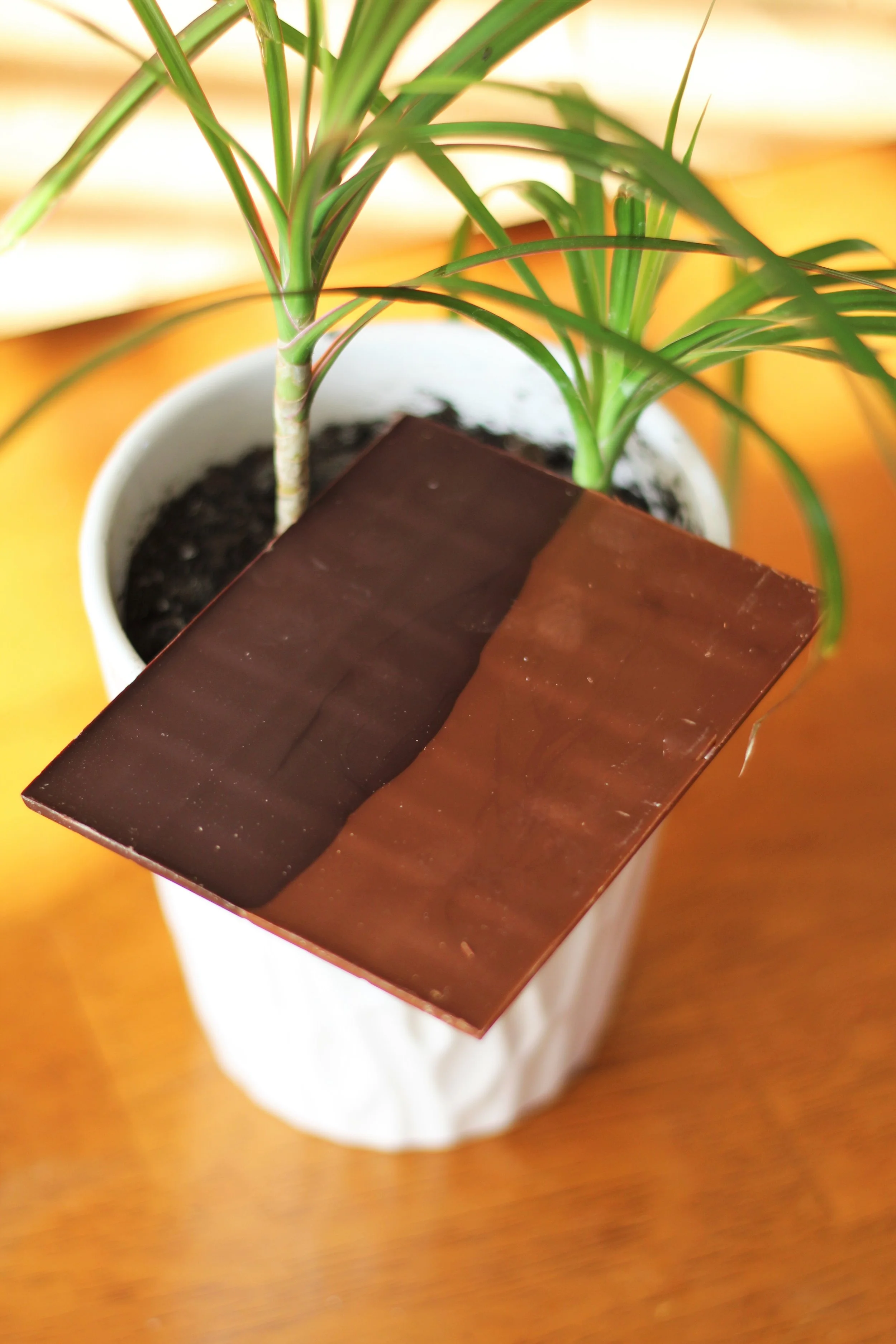 Arcelia Gallardo of Mission Chocolate Celebrates Brazilian Ingredients ...