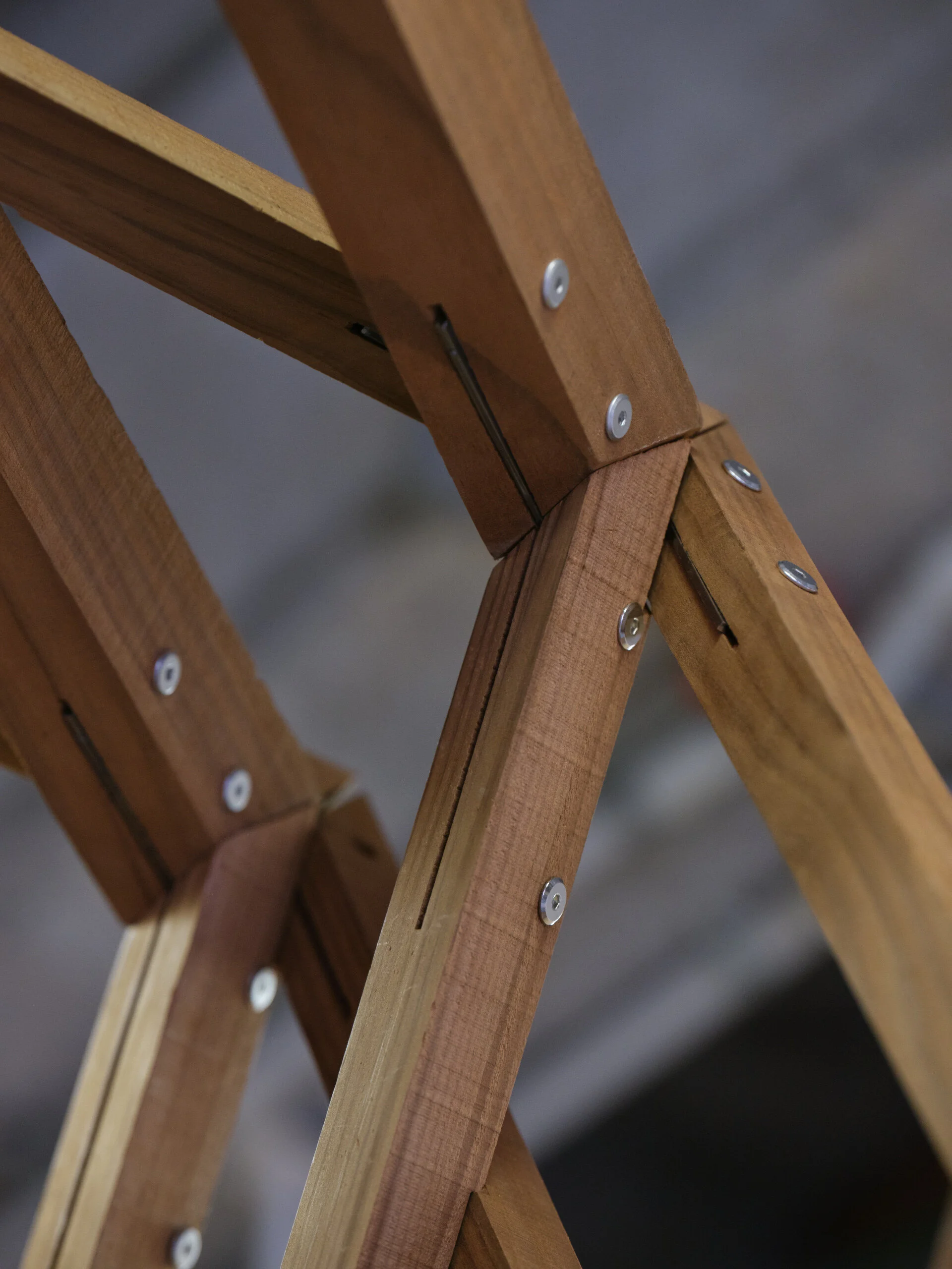 WORK — ANDREW BARRIE LAB