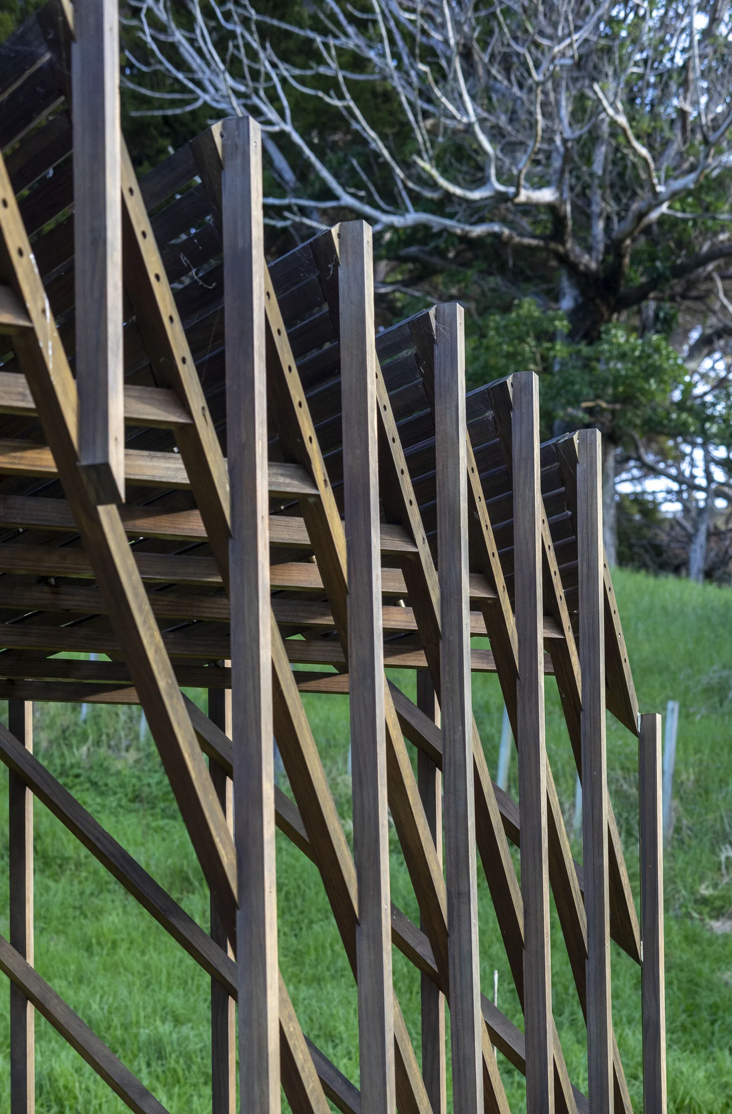 Timber Research Structures - Timber Series — ANDREW BARRIE LAB