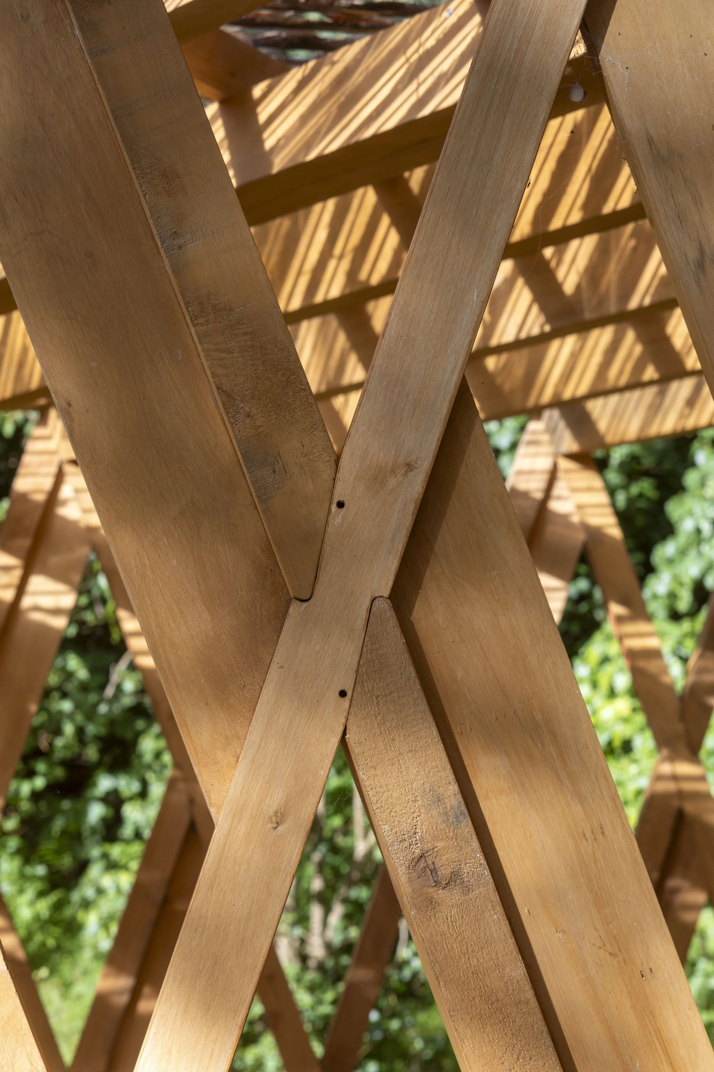 Timber Research Structures - Summerhill Series — ANDREW BARRIE LAB
