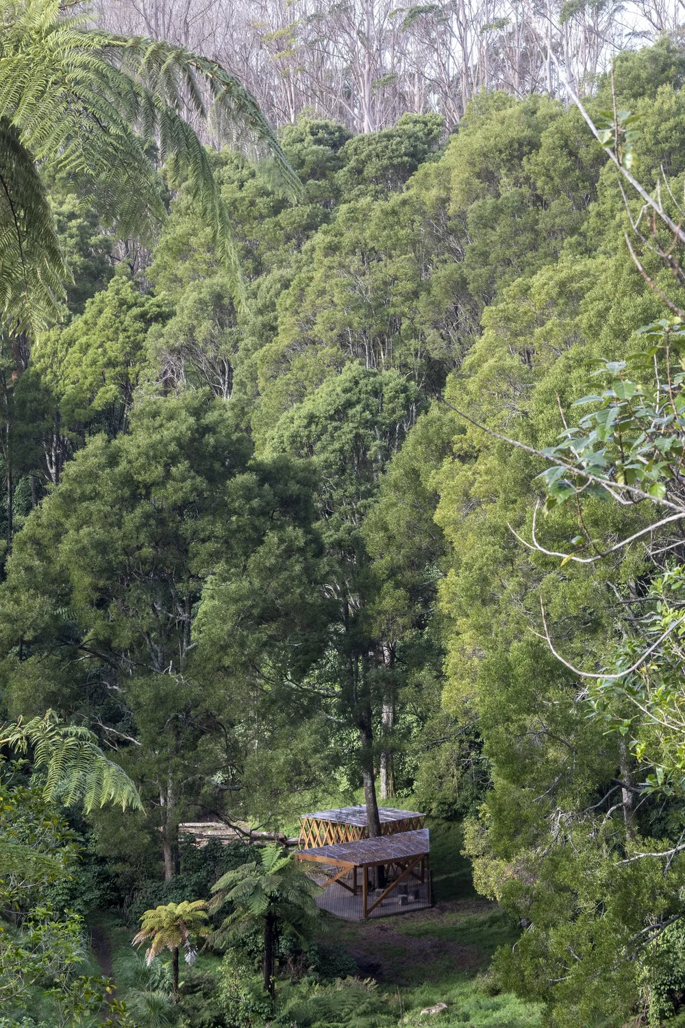 Timber Research Structures - Summerhill Series — ANDREW BARRIE LAB