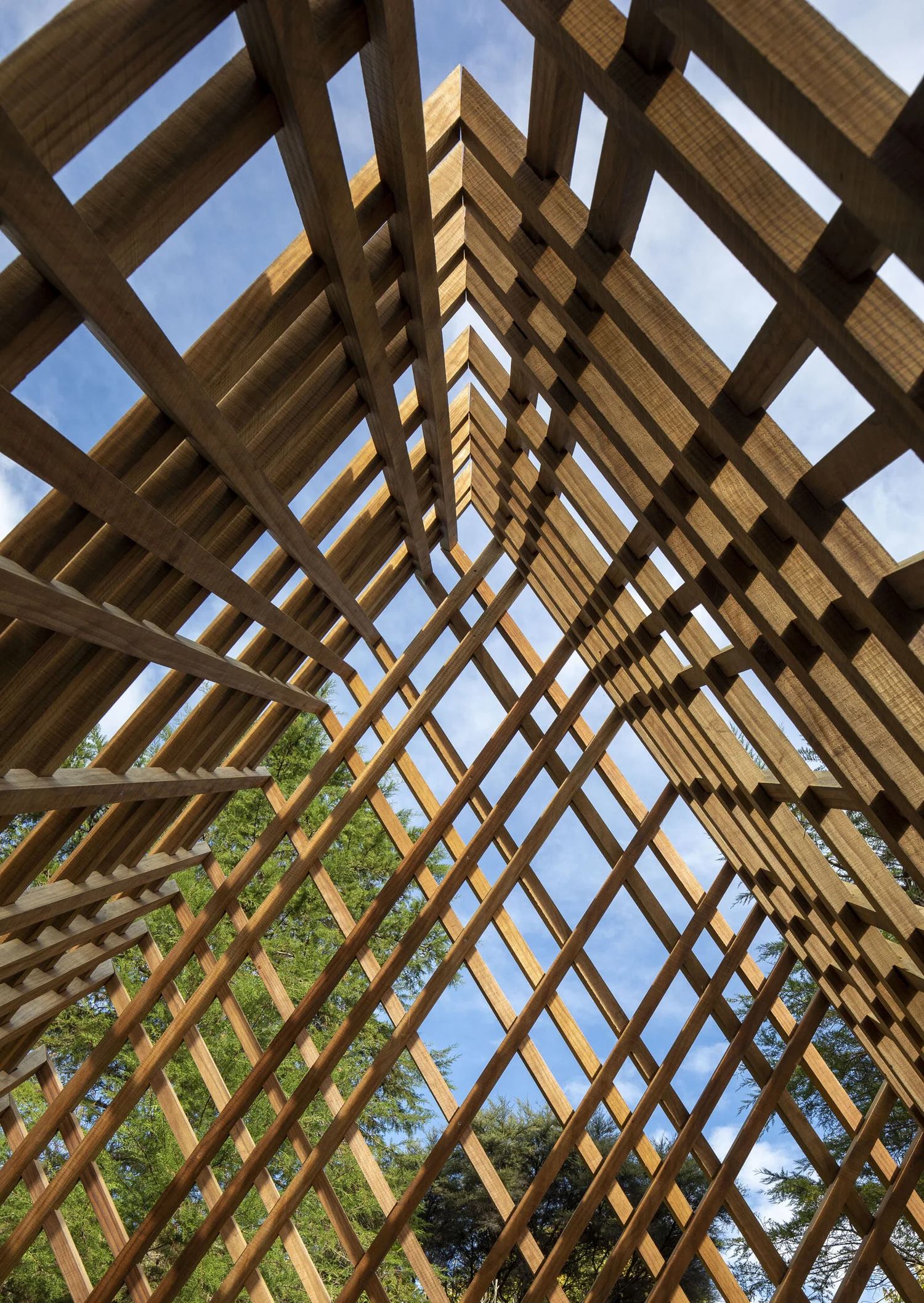 Timber Research Structures - Timber Series — ANDREW BARRIE LAB