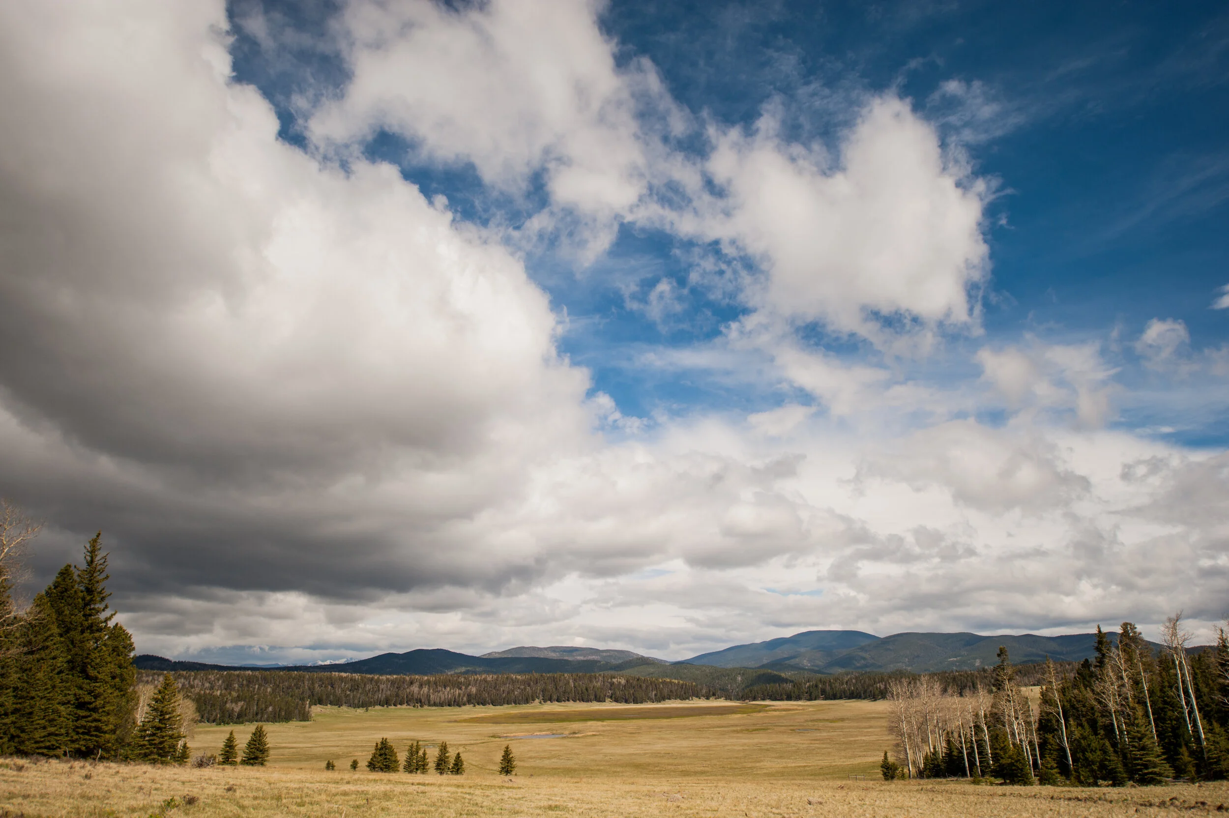 History — Express UU Bar Ranch