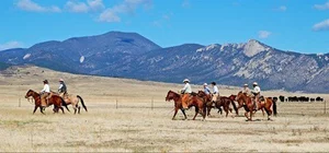 Cattle / Express Ranches — Express UU Bar Ranch