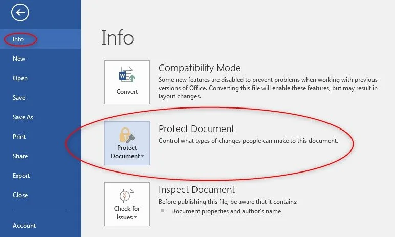 How To Password Protect A Microsoft Word Document — Easy Adulthood