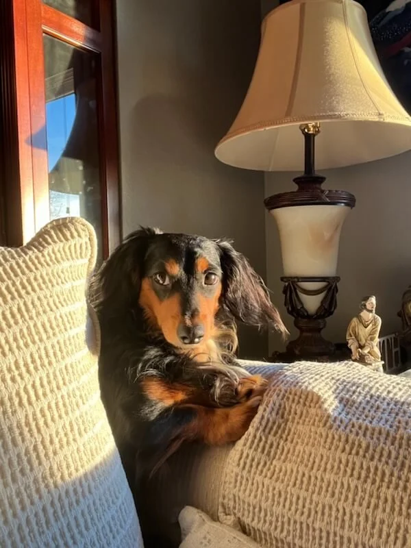 Pros vs. Joes No. 14: From board opp to clone to talk-show host, Chad ...