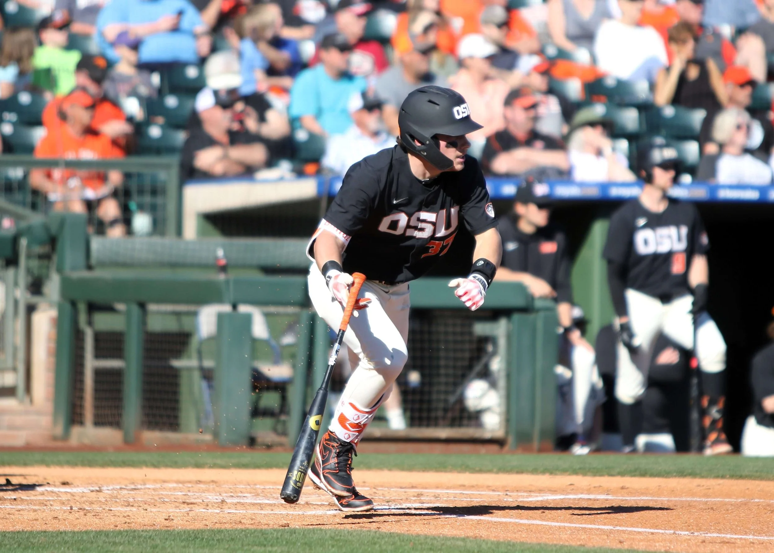 Bazz is bashing, and the guys he looked up to are digging it — Kerry Eggers