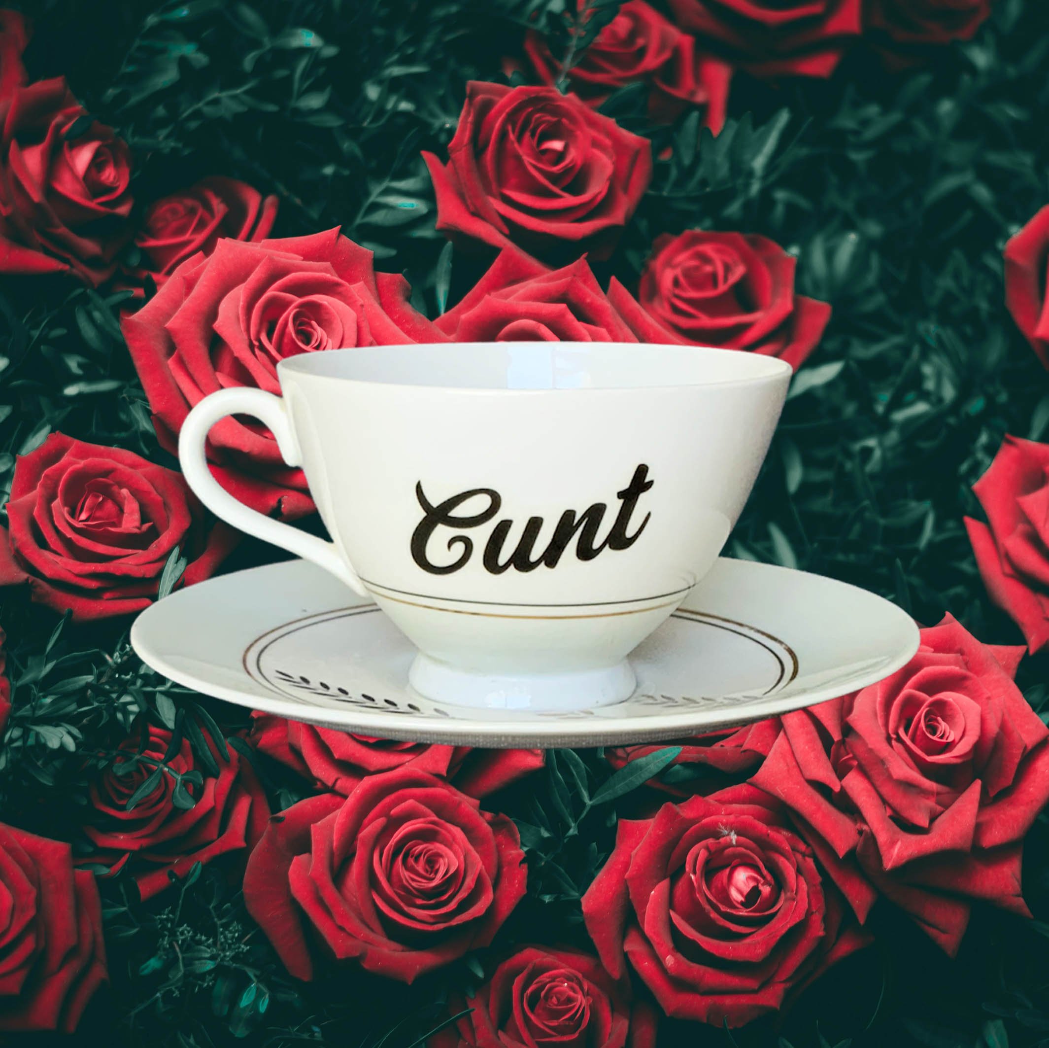 Tea Cups — The Dandy Lion