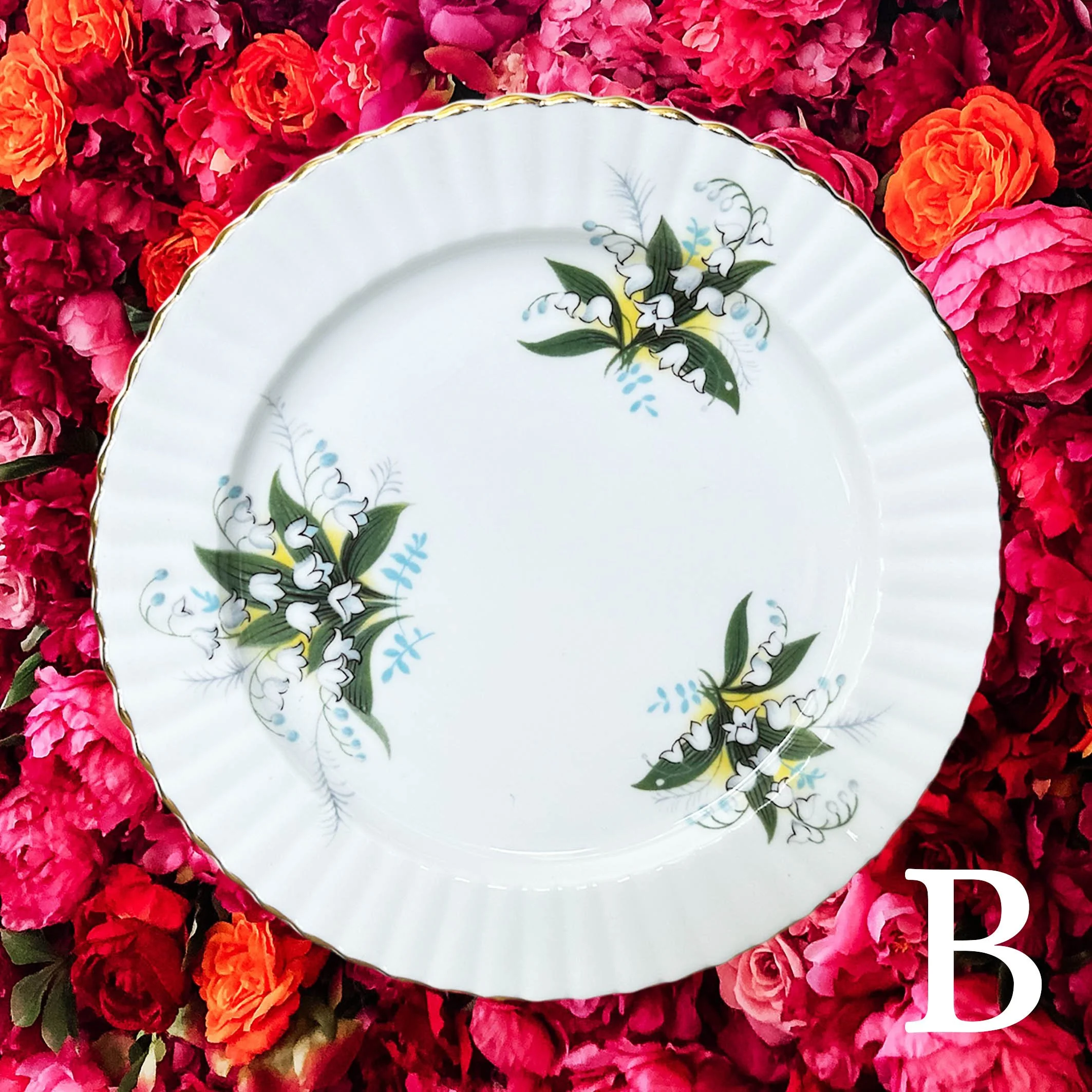 Create-A-Plate — The Dandy Lion