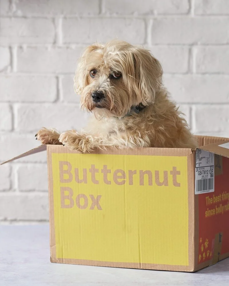 Giles Christopher • The Team