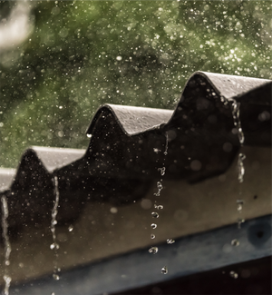 Damp X Waterproofing — Fired Earth