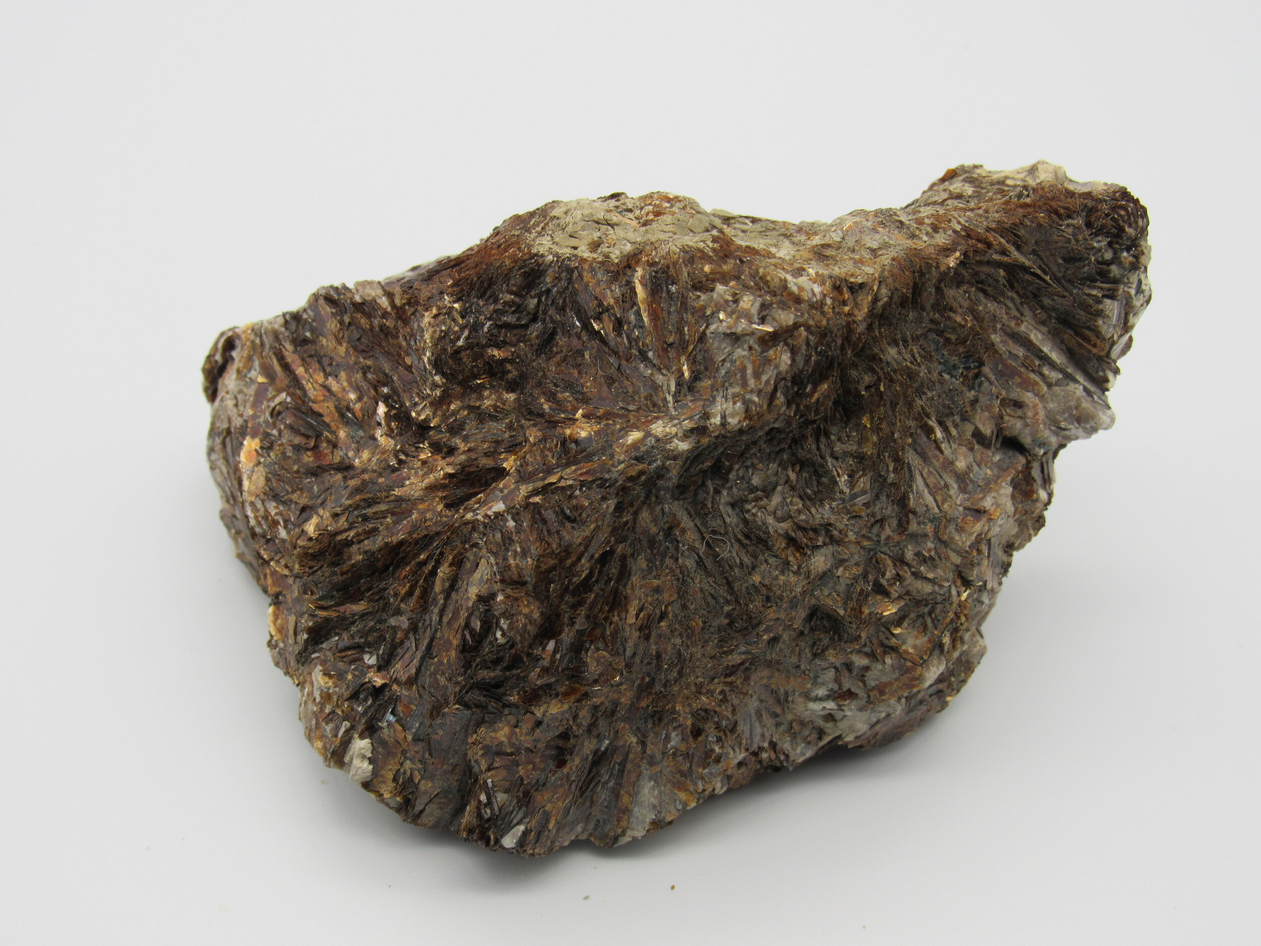 Astrophyllite - Russia — Earth's Hidden Treasures® - Minerals, Fossils ...
