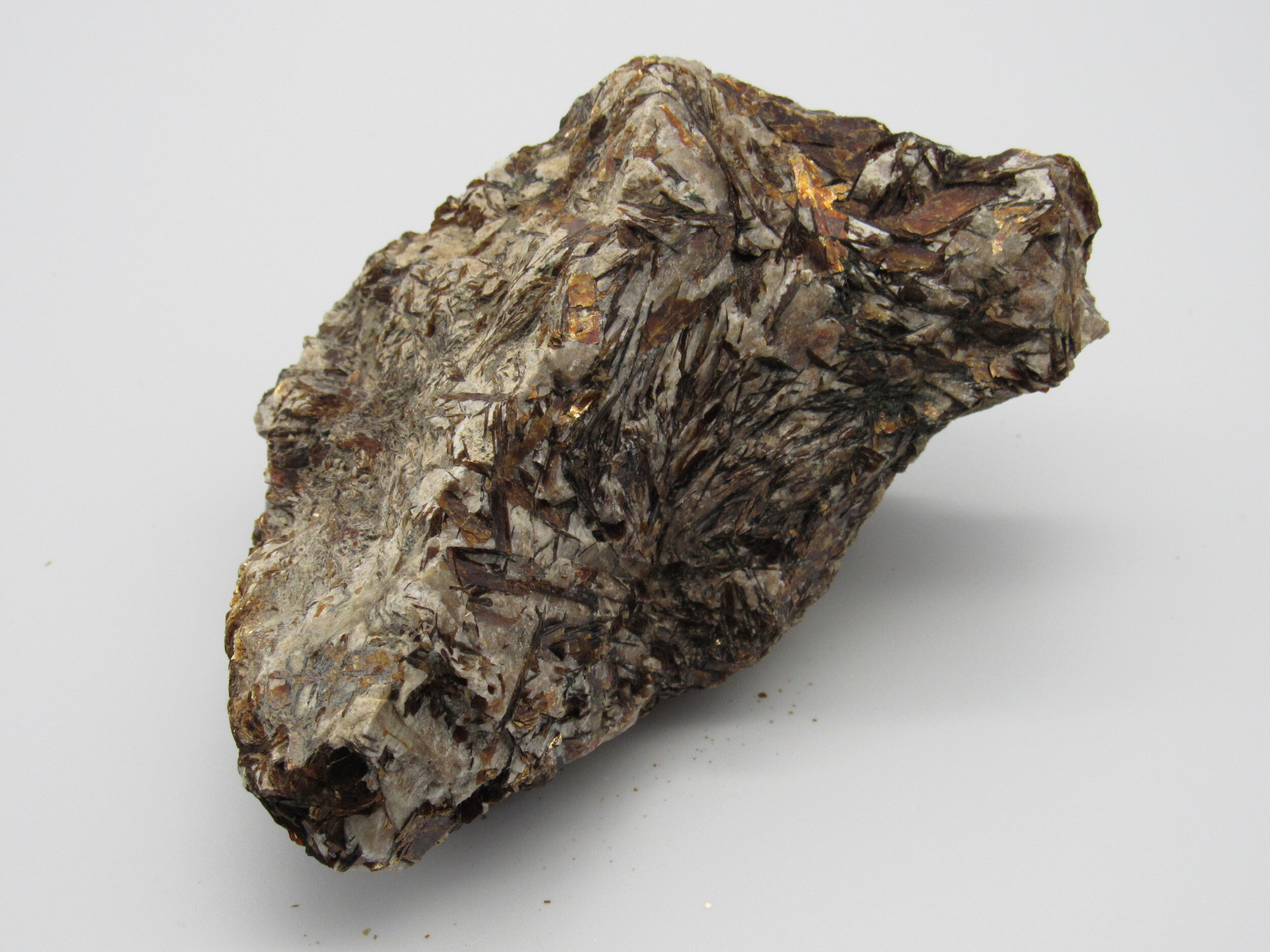 Astrophyllite - Russia — Earth's Hidden Treasures® - Minerals, Fossils ...