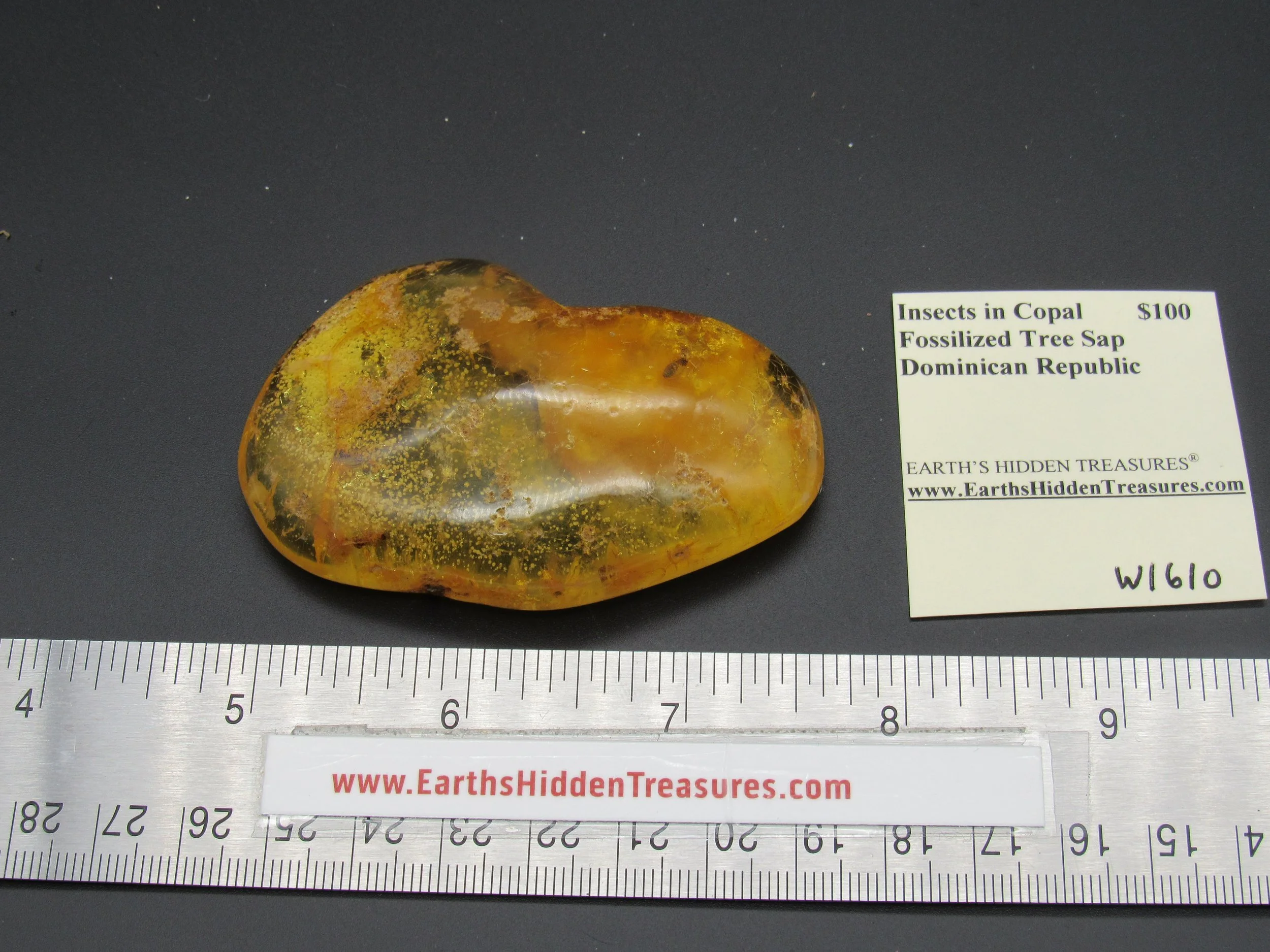 Insects in Copal - Dominican Republic — Earth's Hidden Treasures ...