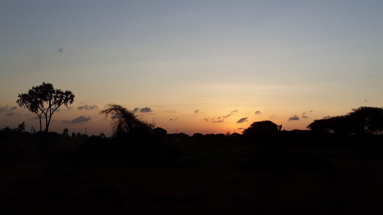 Eco-tourism - Nguuni Nature Sanctuary — Nguuni Nature Sanctuary