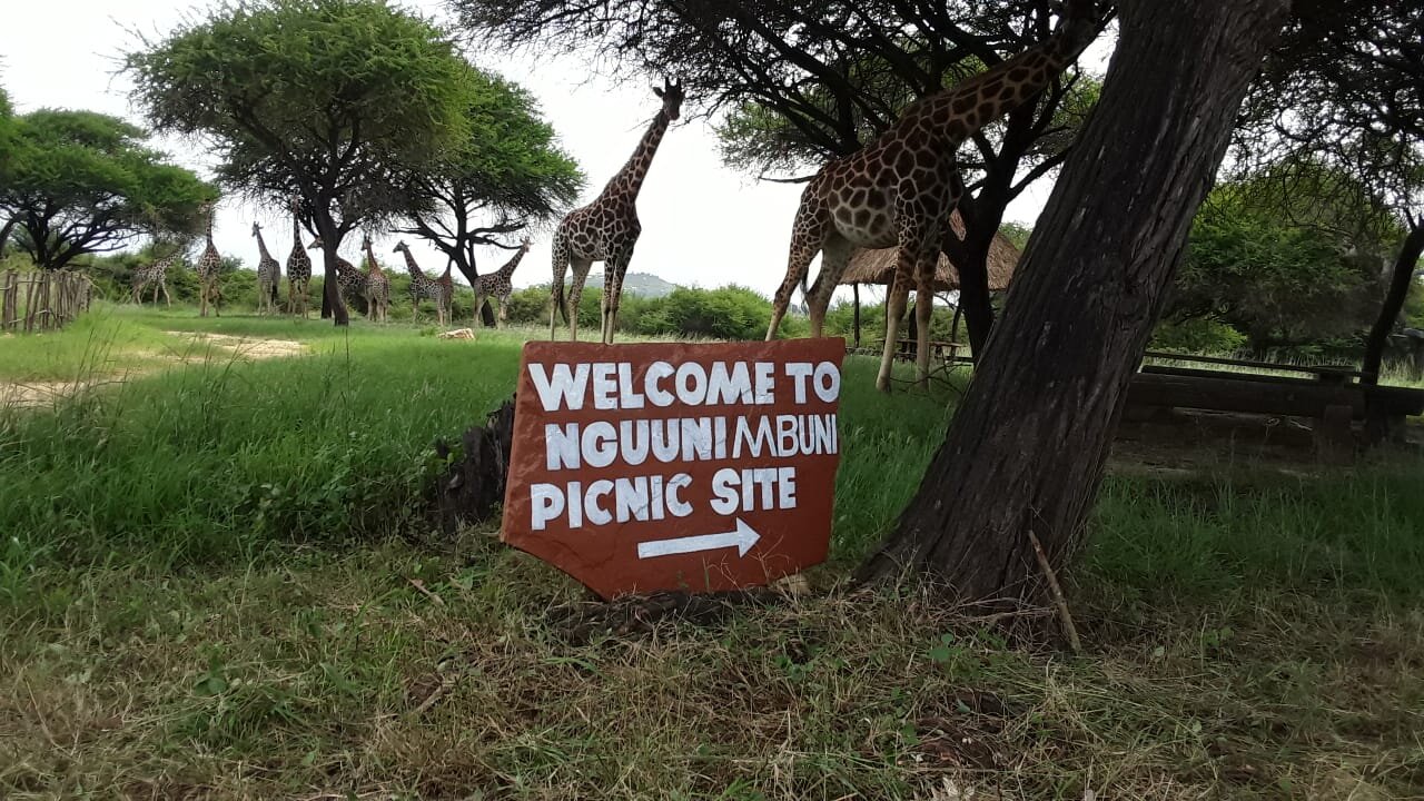 Eco-tourism - Nguuni Nature Sanctuary — Nguuni Nature Sanctuary