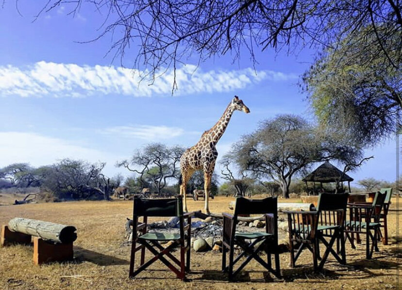 Eco-tourism - Nguuni Nature Sanctuary — Nguuni Nature Sanctuary